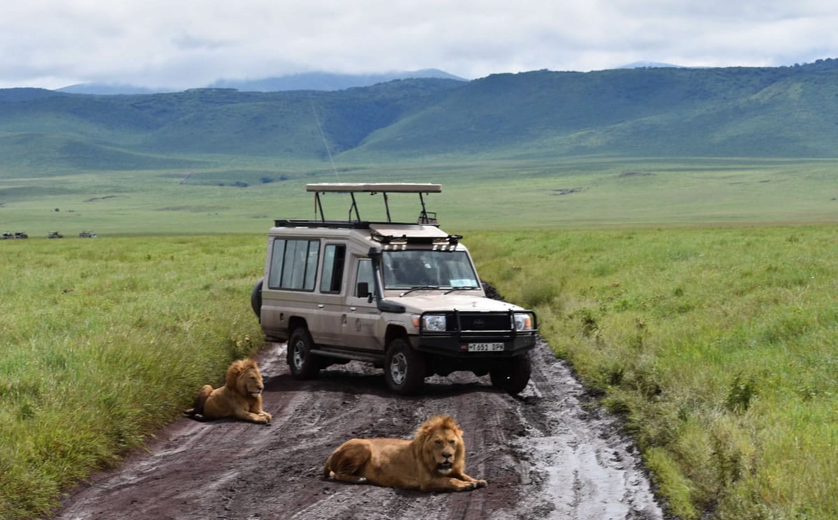 Ngorongoro Conservation Area - Wildlife Safaris Tanzania